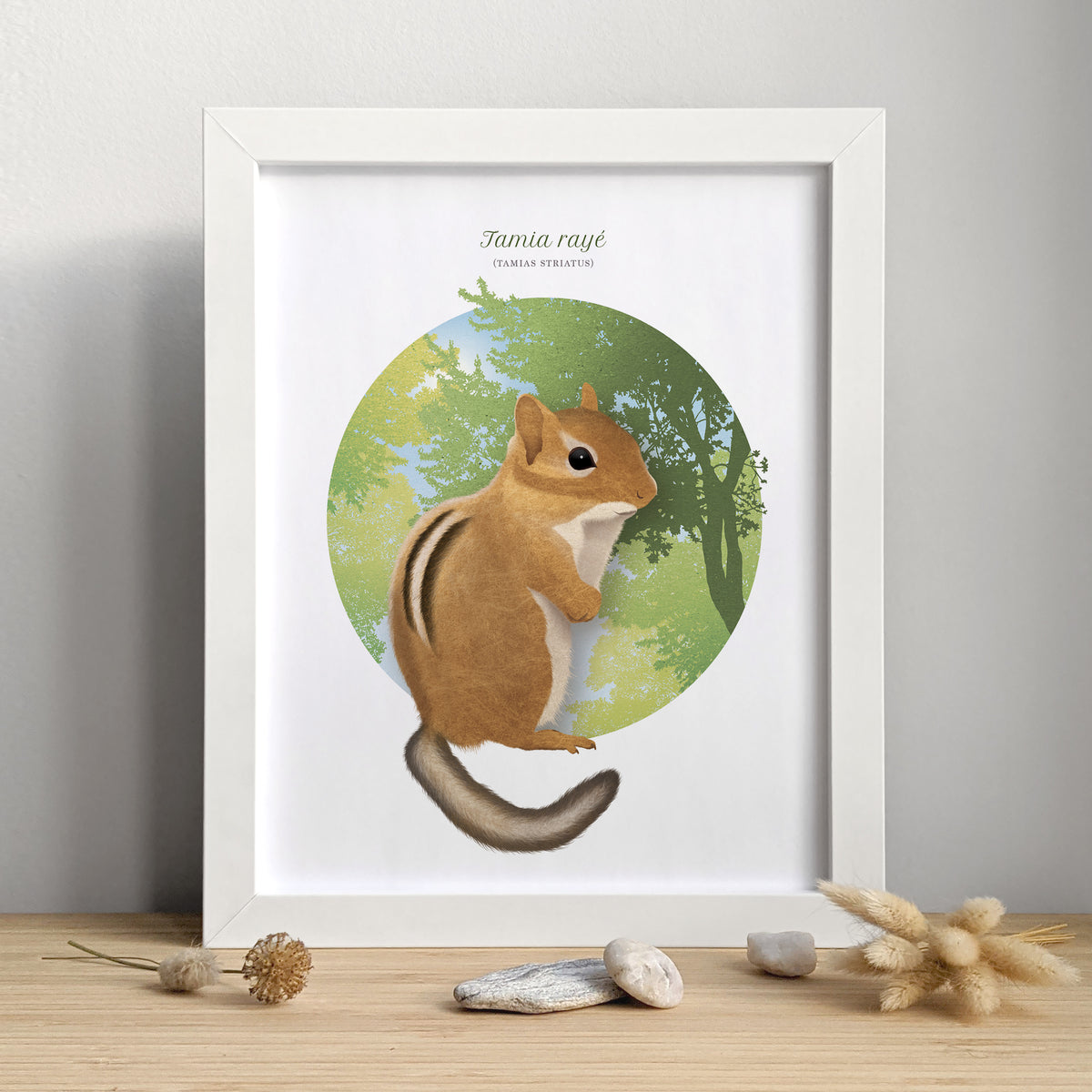 Affiche Bestiaire du Québec: Tamia – l'empreinte coopérative